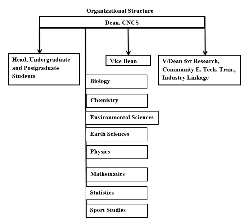 College of Natural and Computational Science